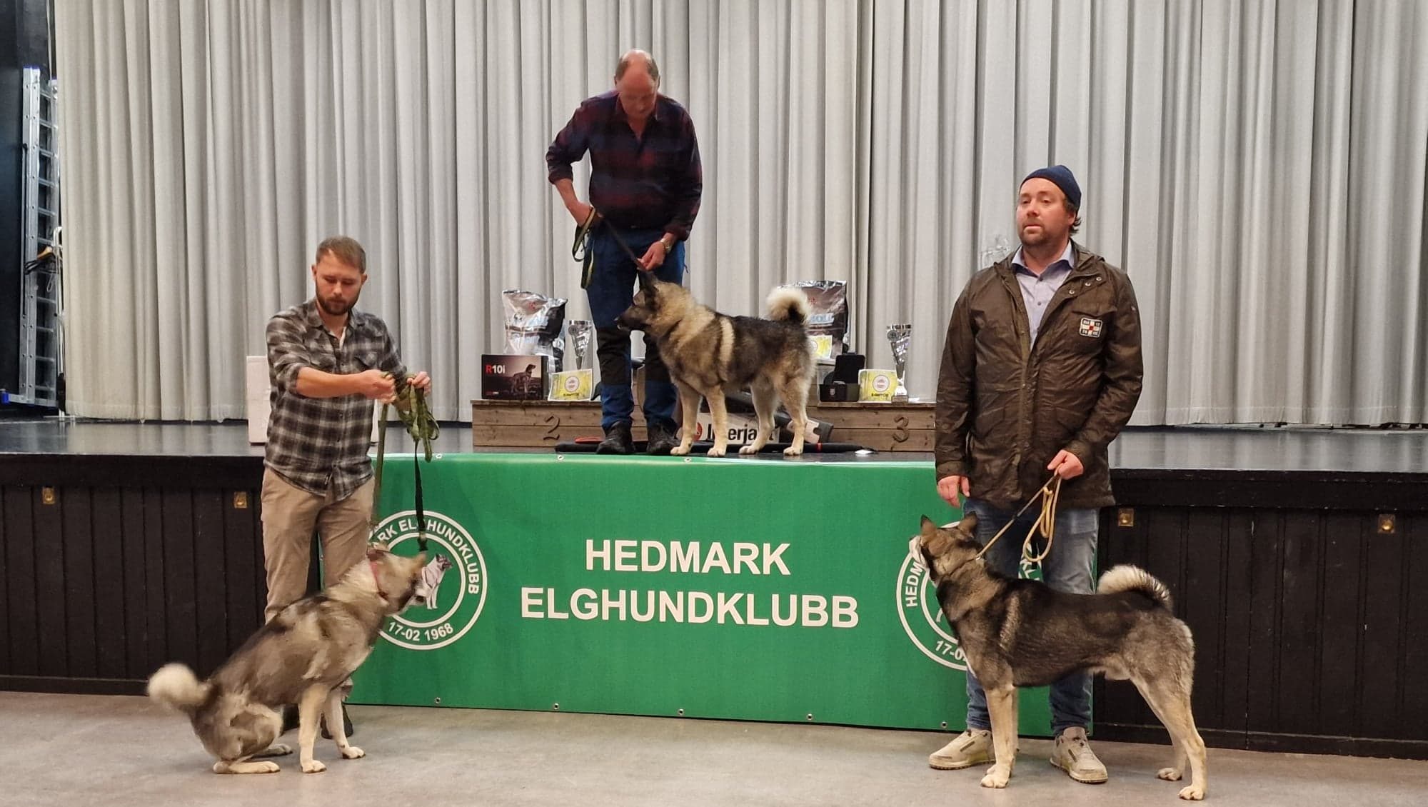 Resultater InterJaktprøven 2022 - Hedmark Elghundklubb