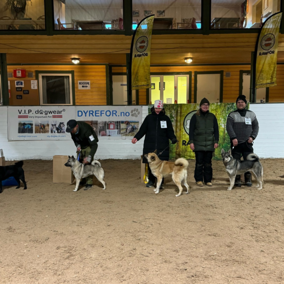 Forside - Hedmark Elghundklubb